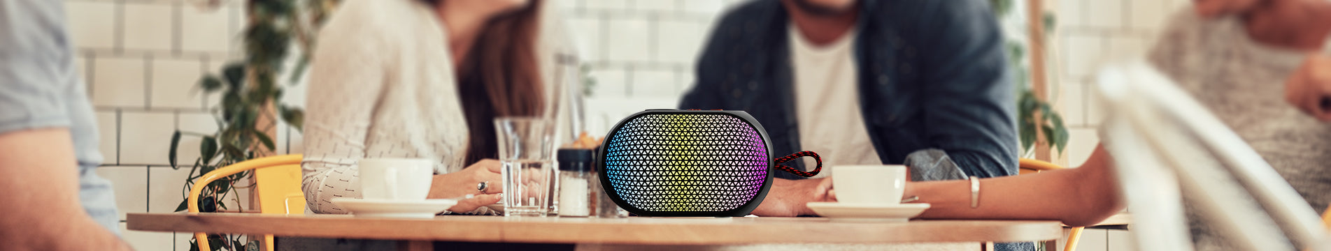 Portable Speaker